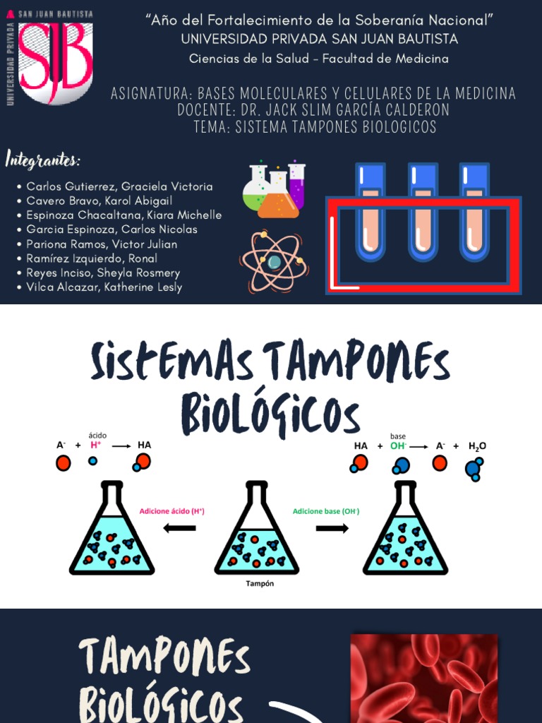 Sistemas tampones biológicos: Mantenedores del equilibrio ácido-base en ...