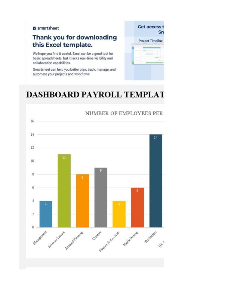 Payroll Dashboard Template | PDF | Wages And Salaries | Economies