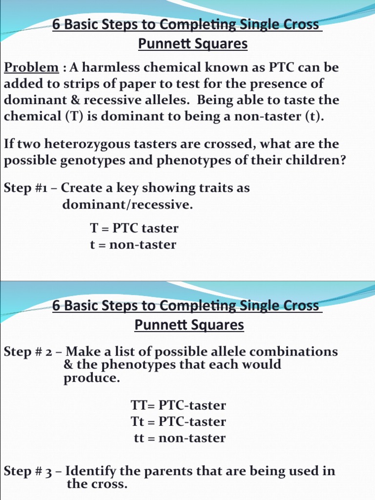 Completing Punnett Squares for Tasting | PDF