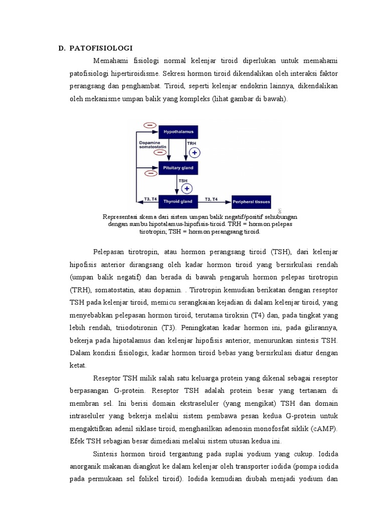 Patofisiologi Hipertiroid | PDF