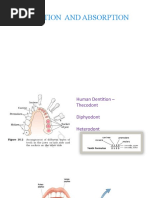 Nutrition Diagnosis DSC PES Statement Cheat Sheet (1) | PDF | Nutrition ...