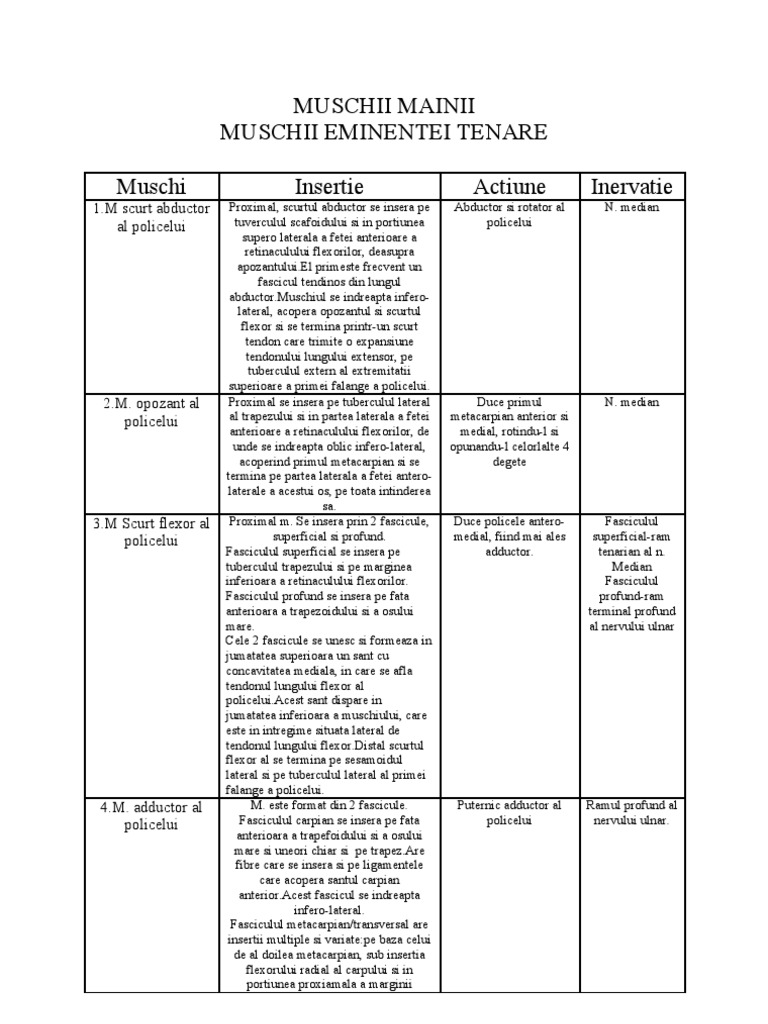 Muschii Mainii-Emineta Tenara | PDF