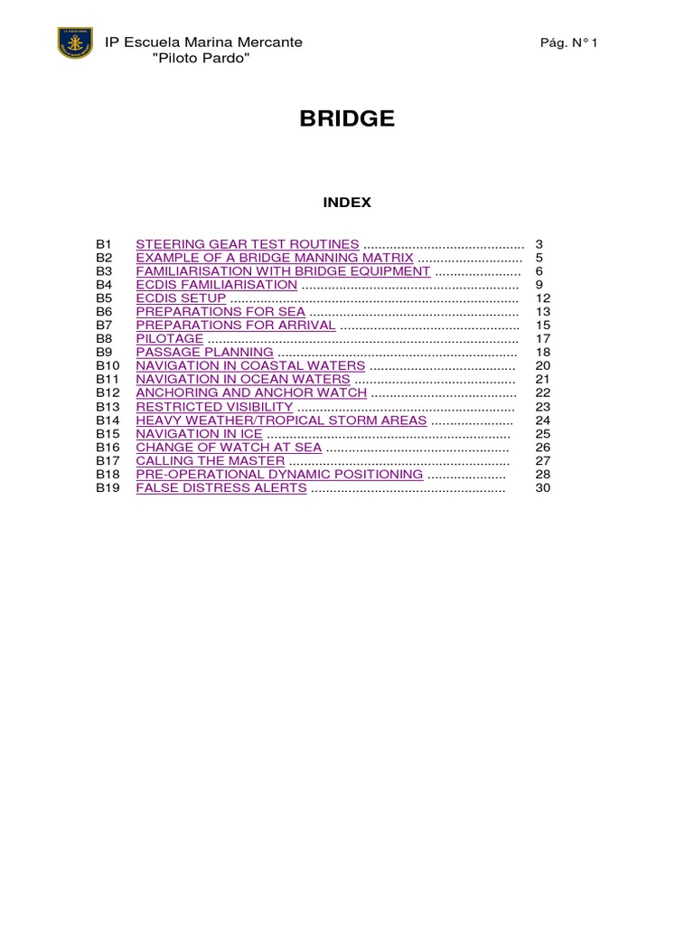 Bridge Manning Matrix Example | PDF | Navigation | Water Transport