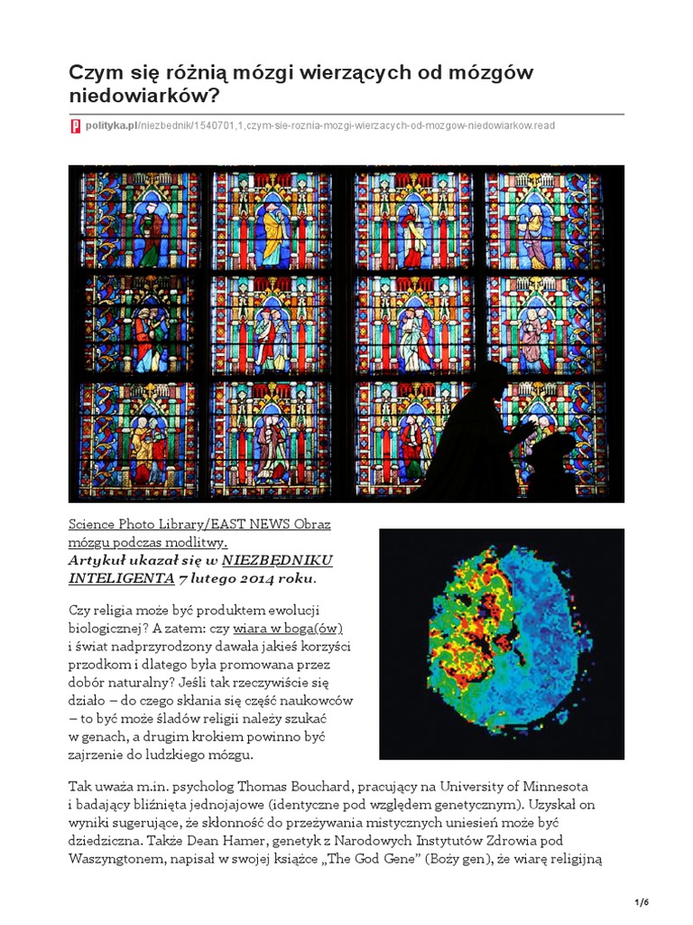 Czym Się Różnią Mózgi Wierzących Od Mózgów Niedowiarków | PDF