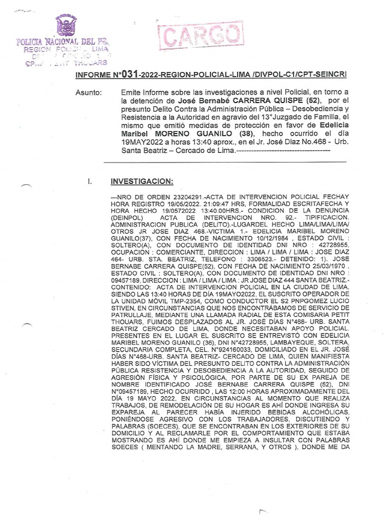 Informe Policial I | PDF