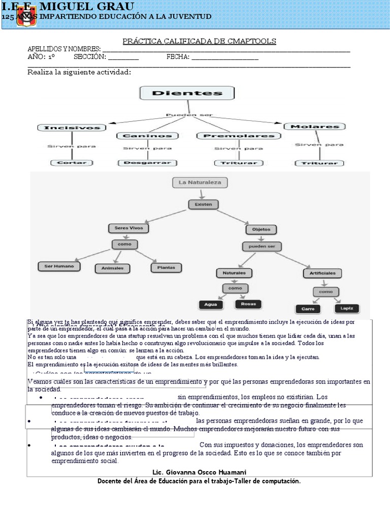 Practica Nº11 Cmaptools | PDF | Iniciativa empresarial | Economias