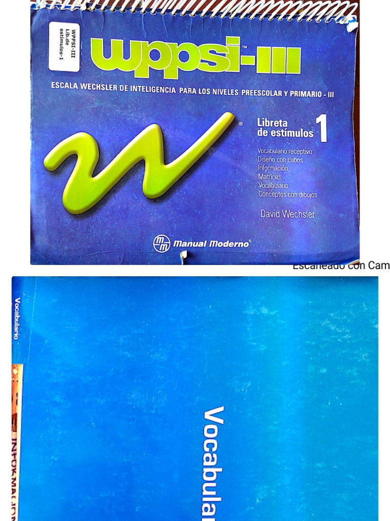 Libreta de Estimulos Wppsi 3 | PDF