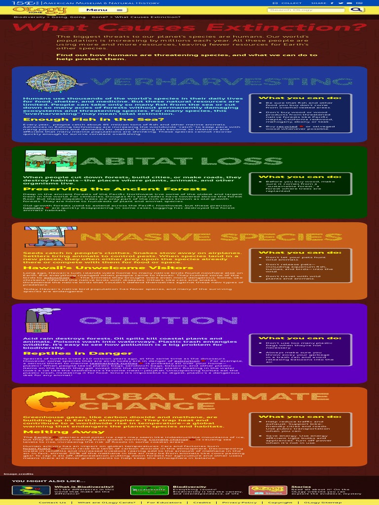 What Causes Extinction AMNH | PDF | Climate Change | Global ...