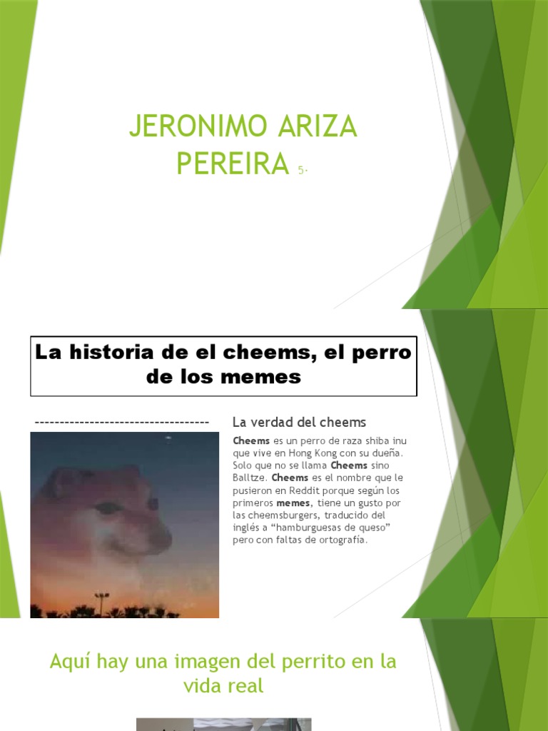 La Historia de Cheems | PDF
