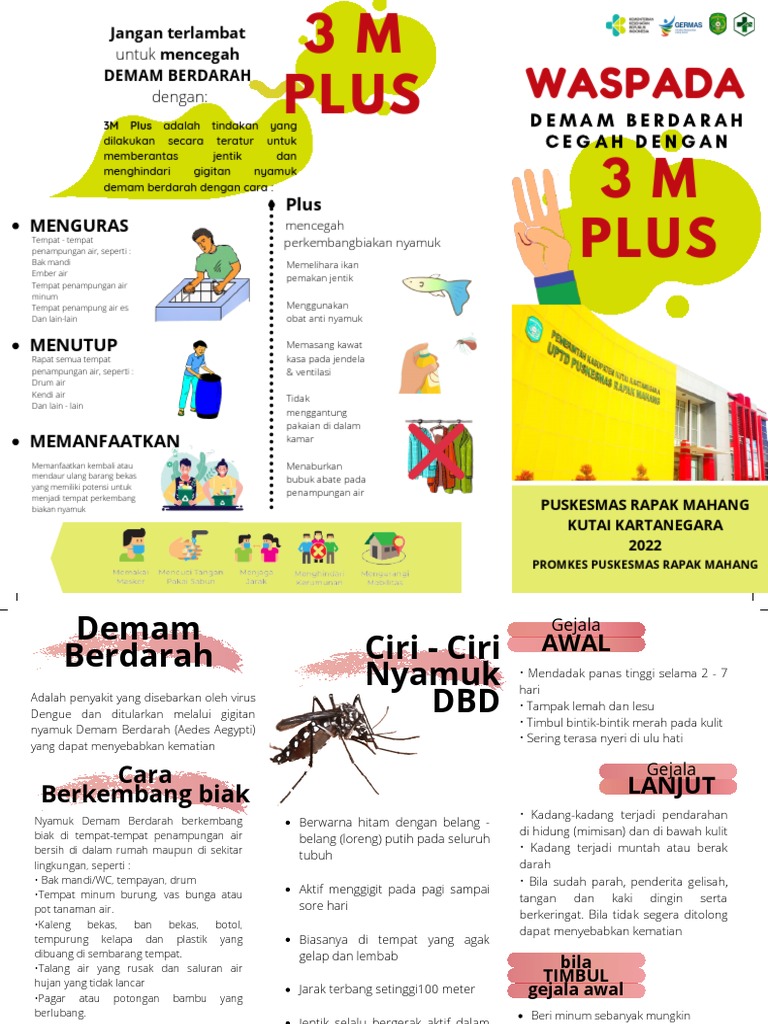 Leaflet DBD | PDF