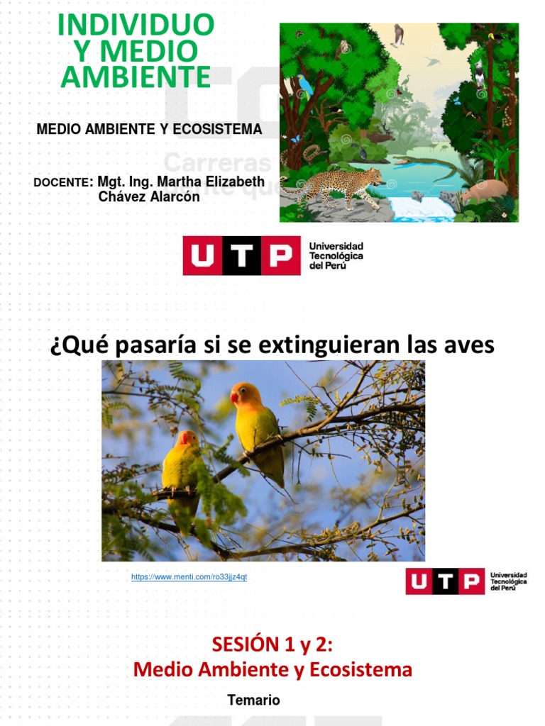 Dinámica del Medio Ambiente y Ecosistemas | PDF | Ecosistema | Entorno ...