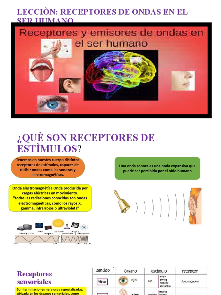 Ejercicio 7 Emisores y Receptores de Ondas | PDF | Órgano (anatomía ...