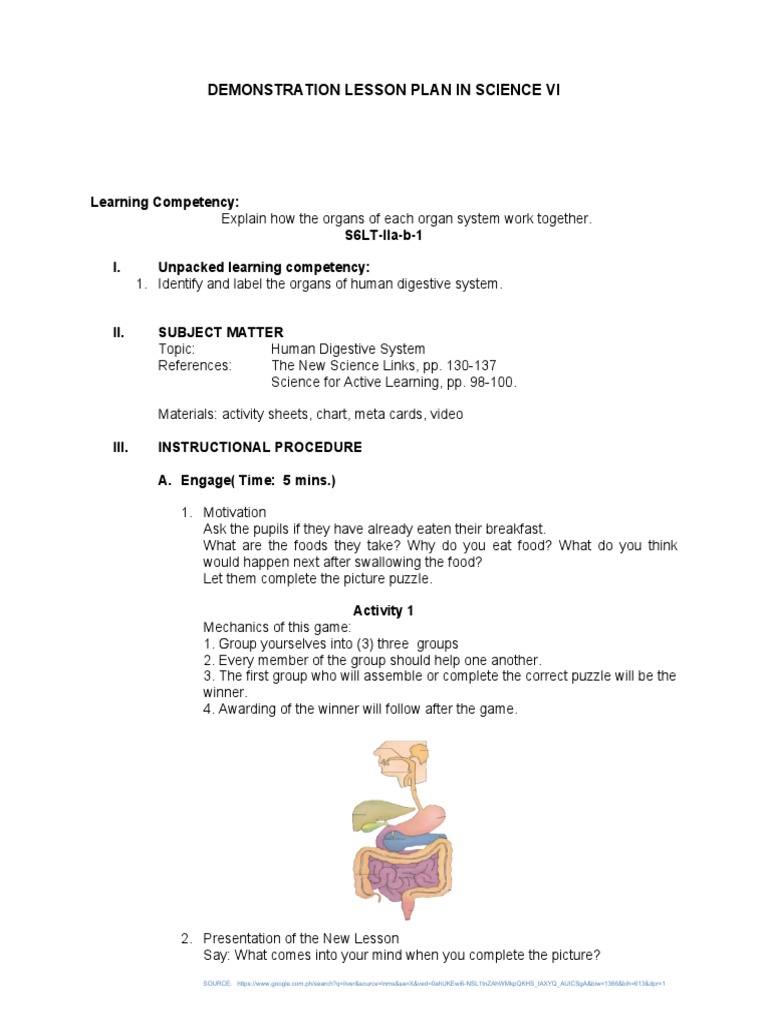 Grade 6 Digestive System Lesson Plan | PDF | Digestion | Human ...