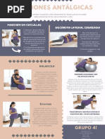 Efecto Poseiro | PDF | Placenta | Feto