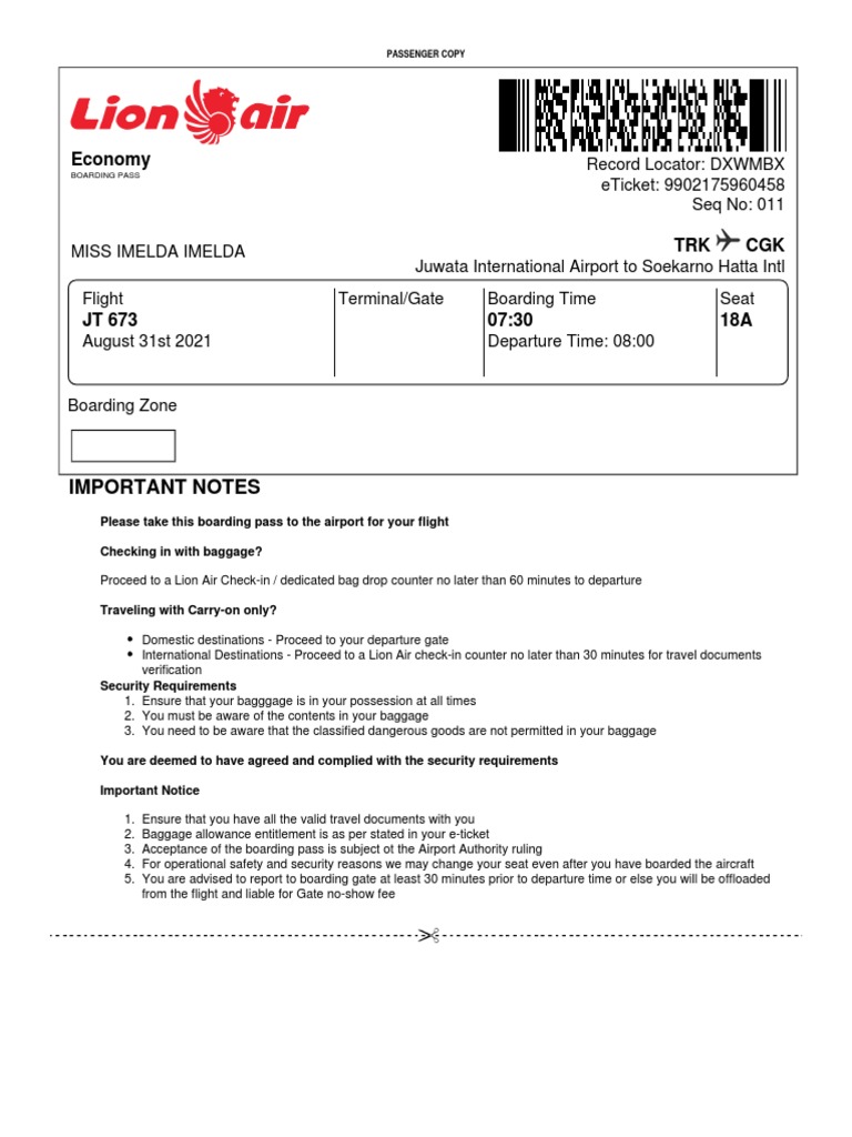 Boarding Pass | PDF | Airport | Baggage