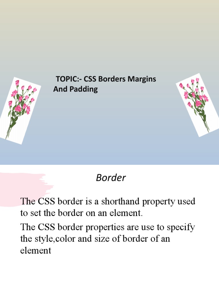 CSS Borders and Margins | PDF
