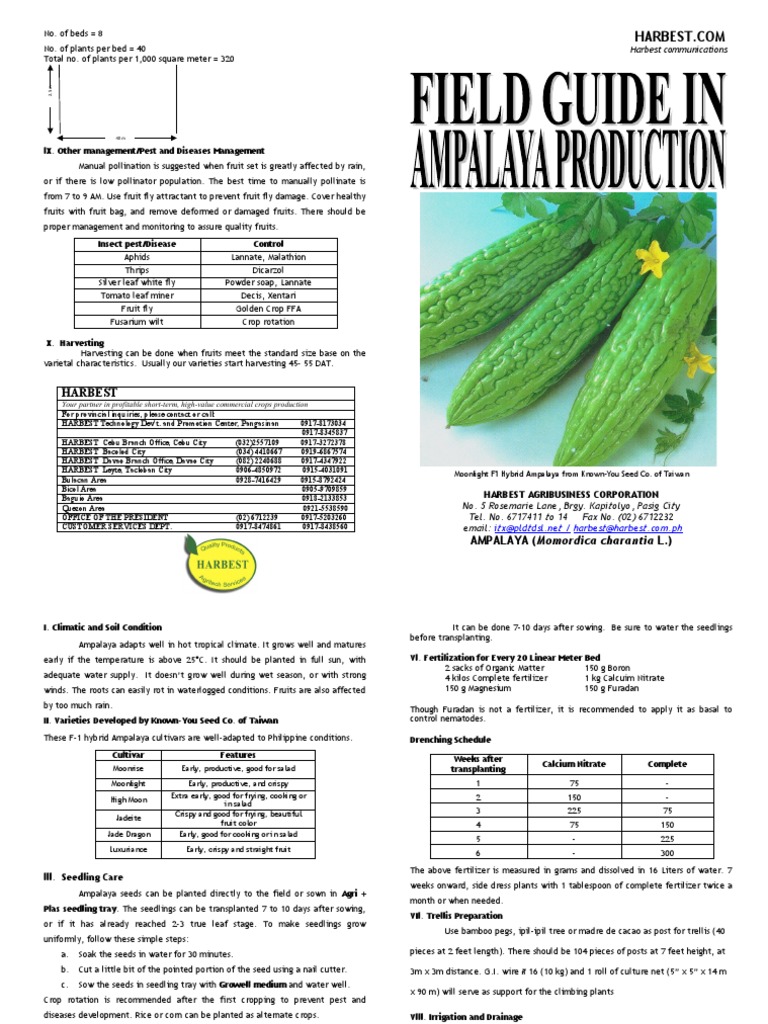 Comprehensive Ampalaya Farming Guide | PDF | Sowing | Seedling