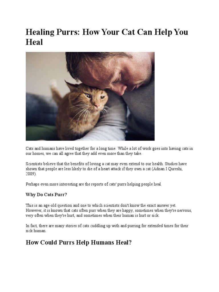 Healing Purrs article about health benefits of cats | PDF | Cats ...