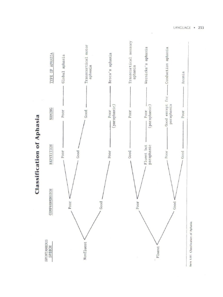 Classification of Aphasia | PDF