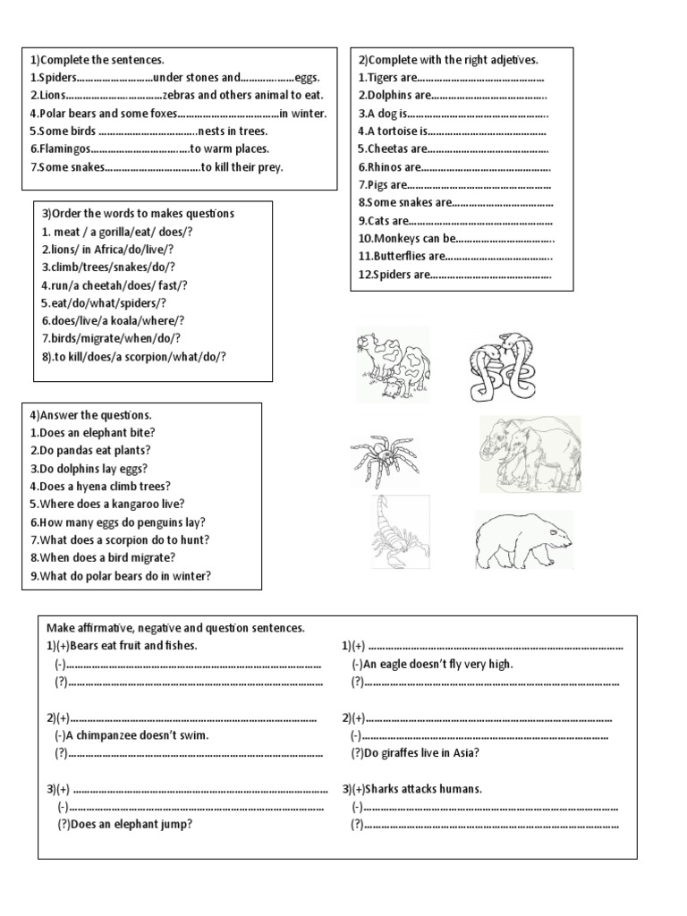 Animals Unit 4 | PDF | Organisms