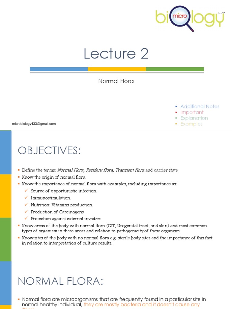 2 - Normal Flora | PDF | Gastrointestinal Tract | Staphylococcus