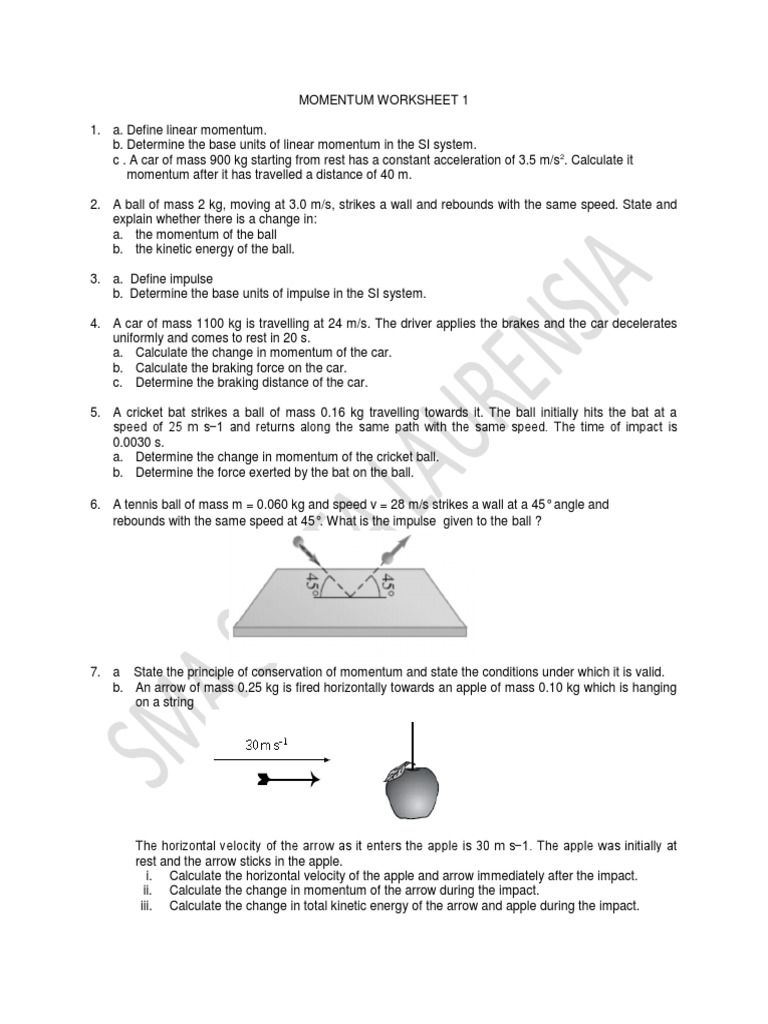 Physics Momentum Exercises | PDF | Collision | Momentum