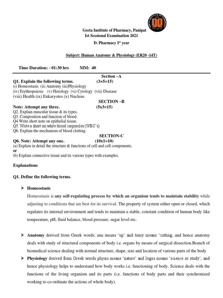 HAP Question Paper Solution D. Pharma | PDF | Epithelium | Granulocyte