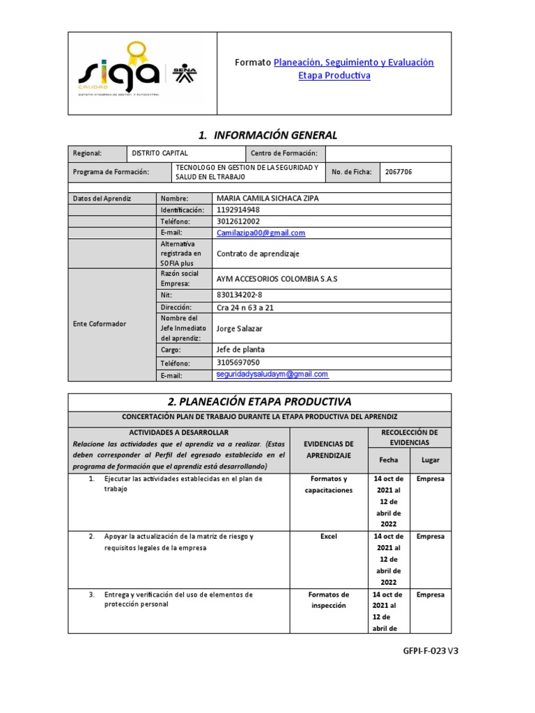 Formato - F23 | PDF | Evaluación | Planificación