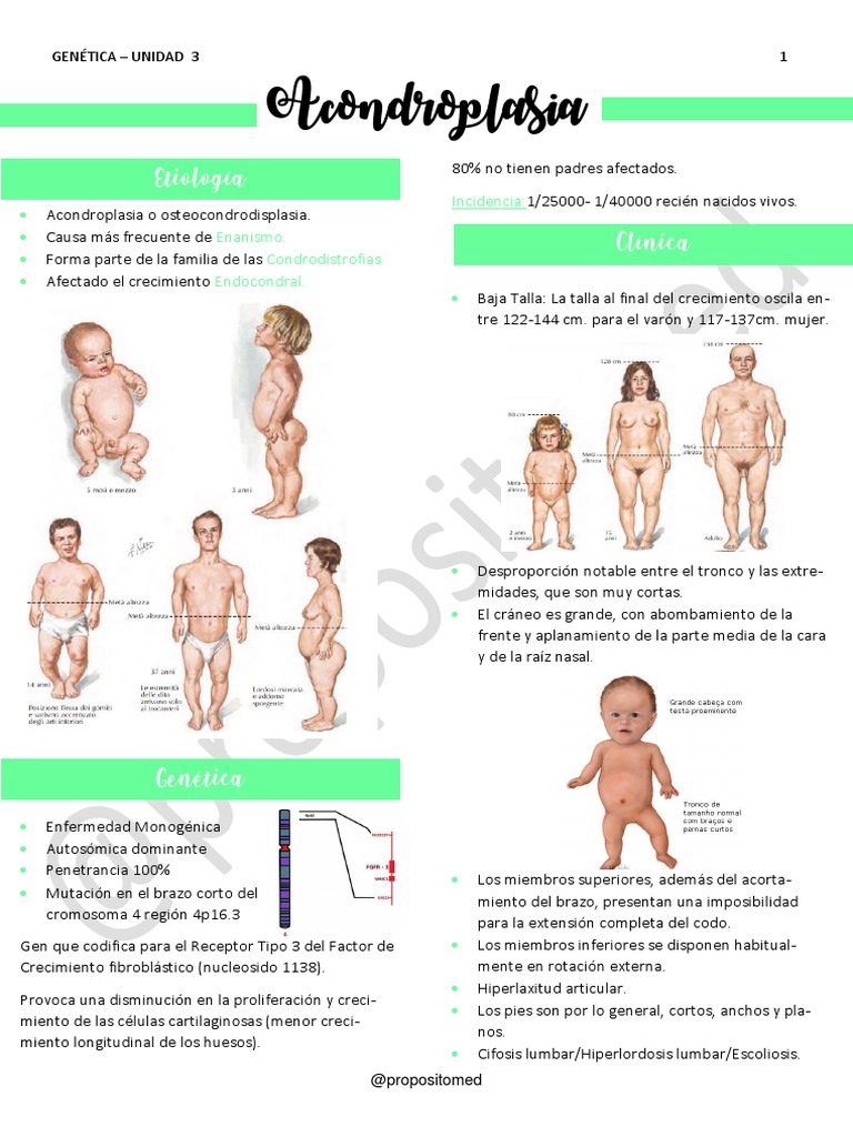 Acondroplasia: Características y Tratamiento | PDF | Enfermedades y ...