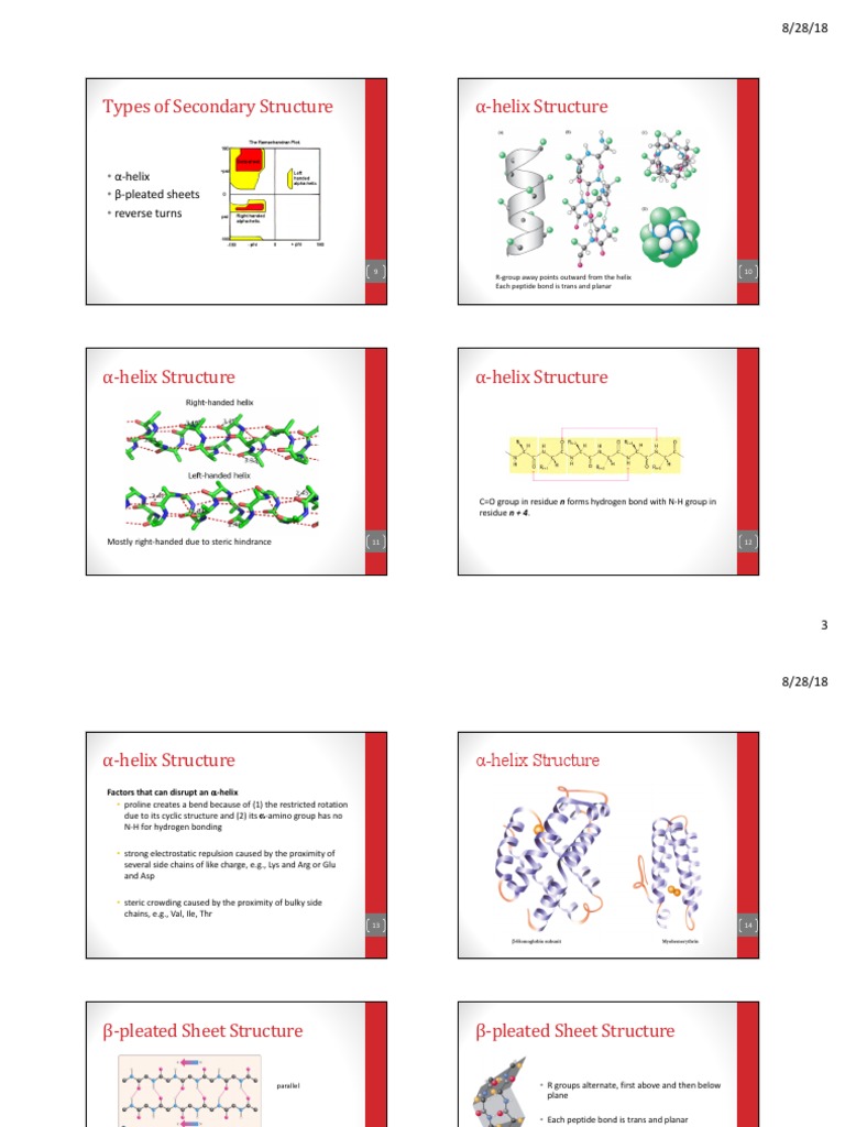 Types of Secondary Structure α-helix Structure: α-helix β-pleated ...