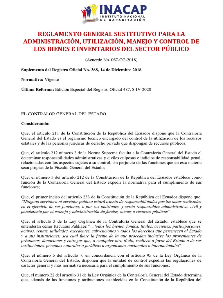 6 - Reglamento de Bienes Del Sector Público | PDF | Contabilidad | Regulación
