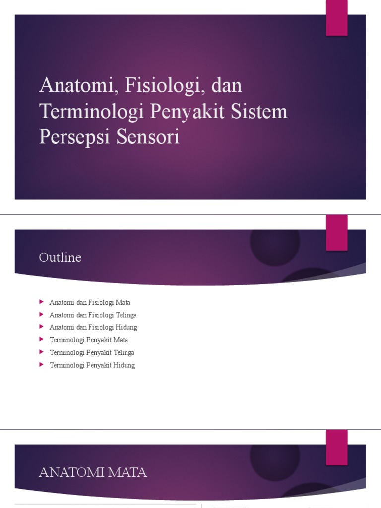 Anatomi, Fisiologi Sistem Persepsi Sensori | PDF