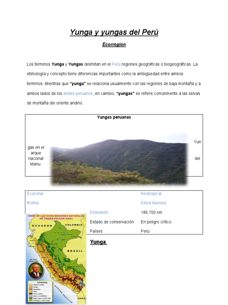 Yunga y Yungas Del Perú: Ecorregion | PDF