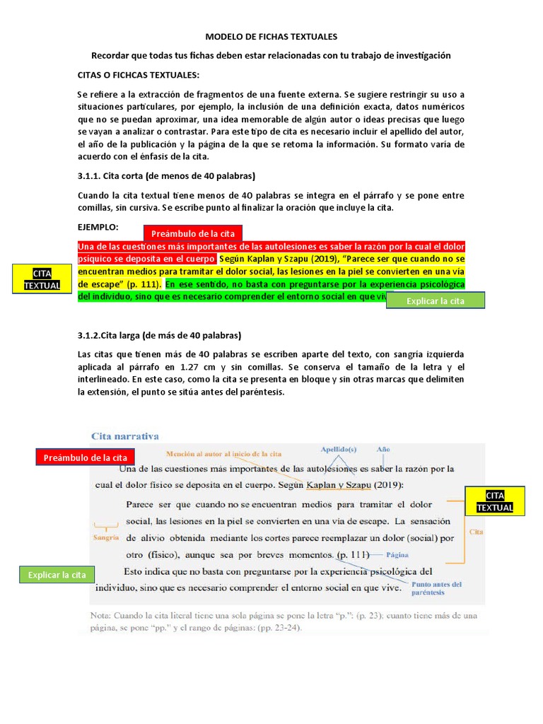 MODELO DE FICHAS TEXTUALES | PDF