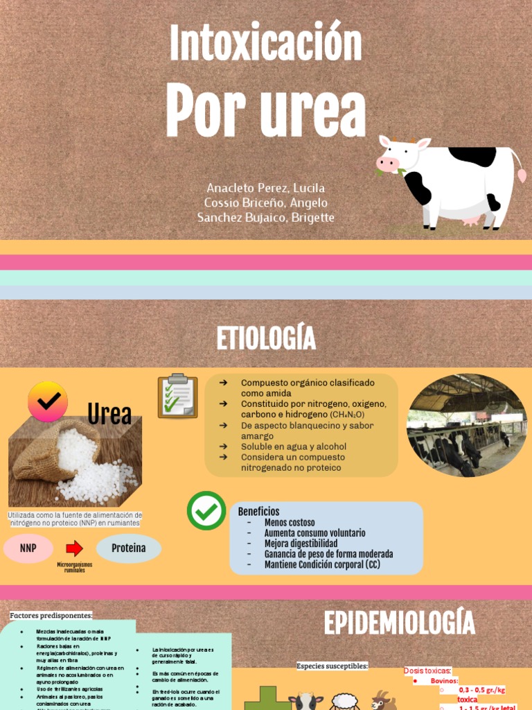 INTOXICACIÓN POR UREA | PDF | Urea | Edema