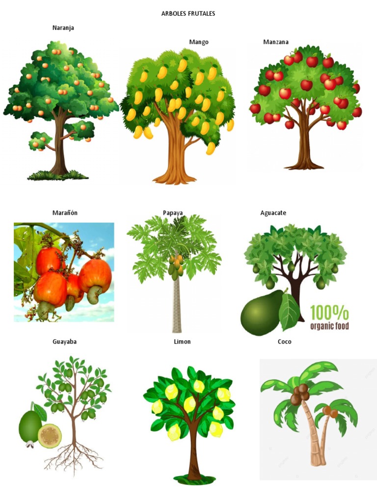 Arboles Frutales | PDF