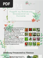 Halamang Dahon | PDF