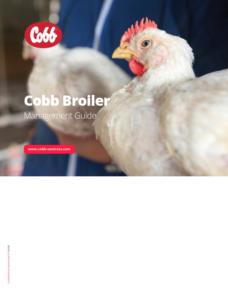 Broiler Guide 2021 Min | PDF | Poultry Farming | Vaccines