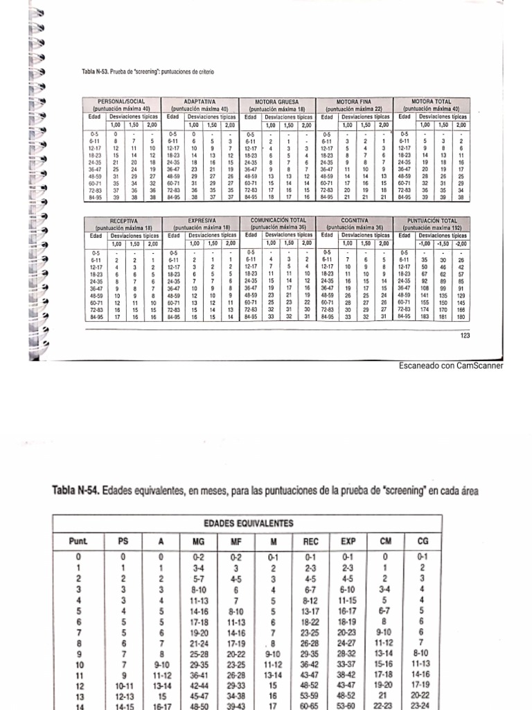 Tabla de Calificación Battelle | PDF