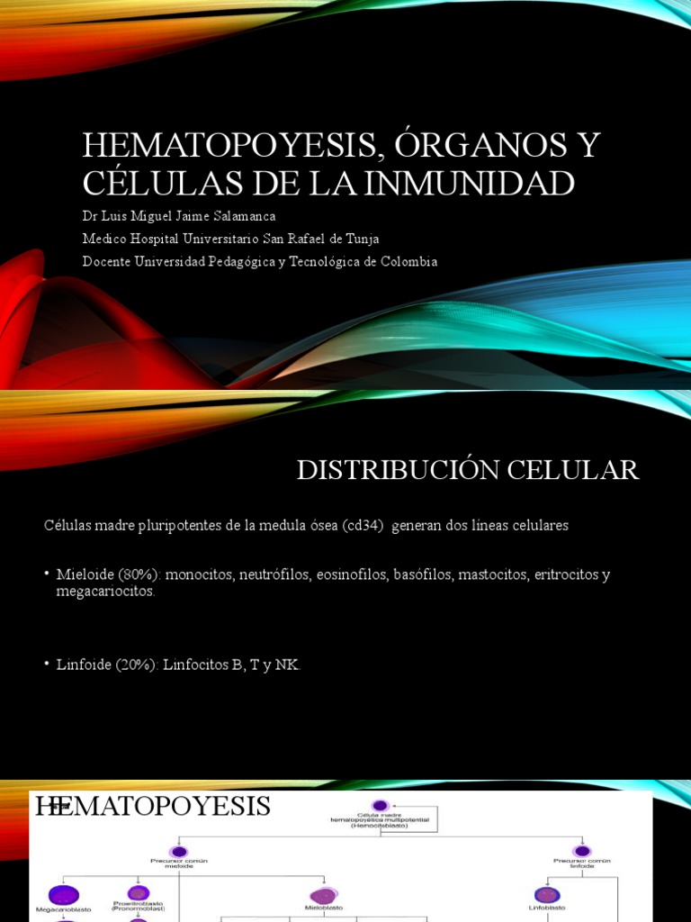 Organos de La Inmunidad, Inmunidad Adaptativa y Hematopoyesis | PDF | Sistema inmune | Linfocitos