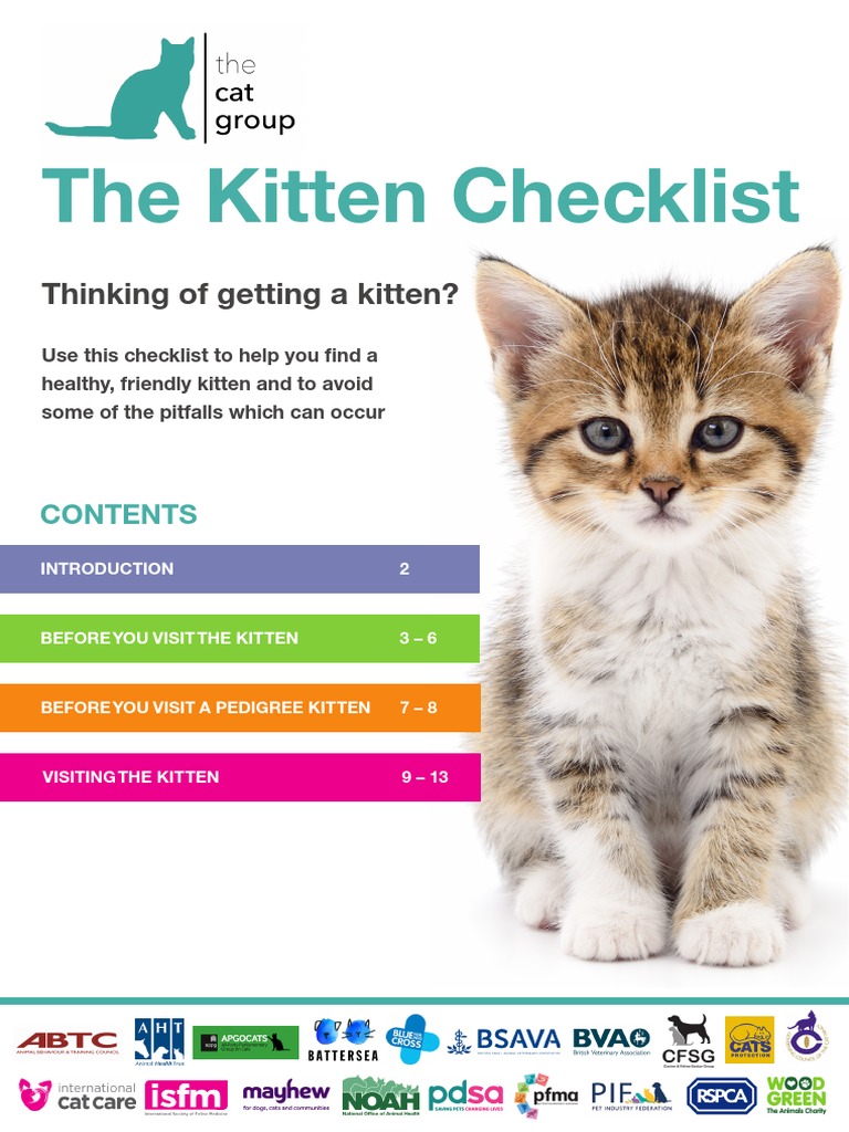 The-Kitten-Checklist | PDF | Cats | Kitten
