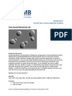 Yeast Cells Under the Microscope | PDF | Science & Mathematics