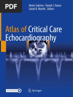 Guidelines For Chamber Quantification | PDF | Echocardiography ...