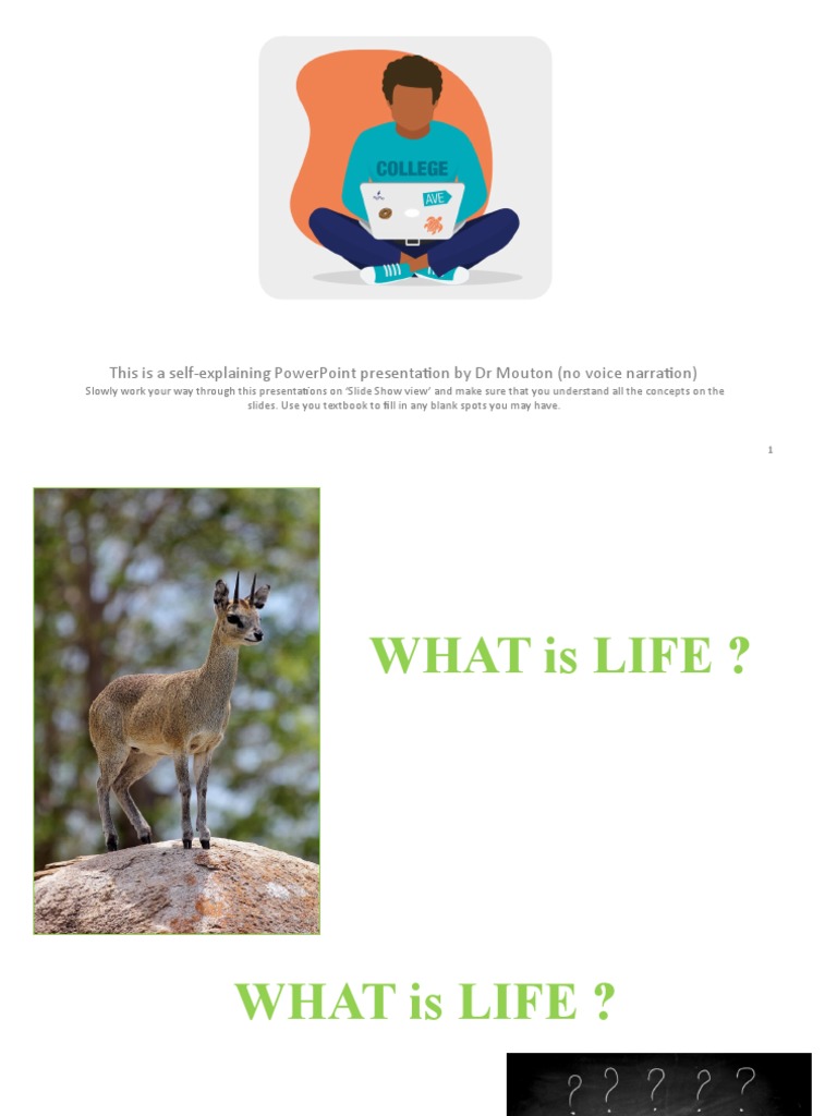 This Is A Self-Explaining Powerpoint Presentation by DR Mouton (No ...