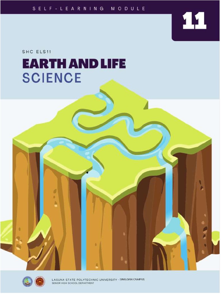SHC Els 11 Module 02 04 | PDF