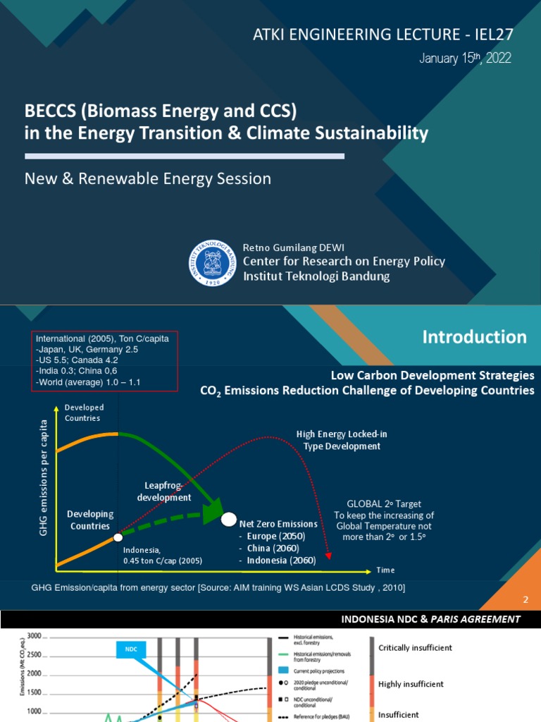 2021 BECCS in Energy Transition_NZE_15 Jan | PDF | Carbon Capture And ...