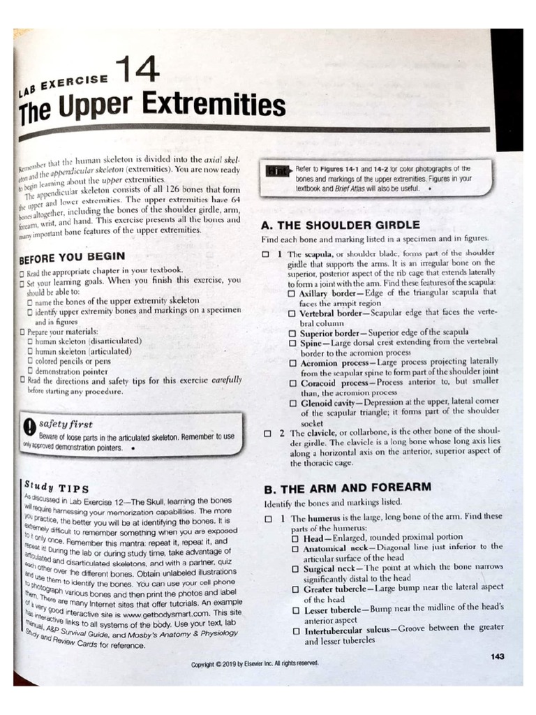 Lab Exercise 14 15 16 | PDF