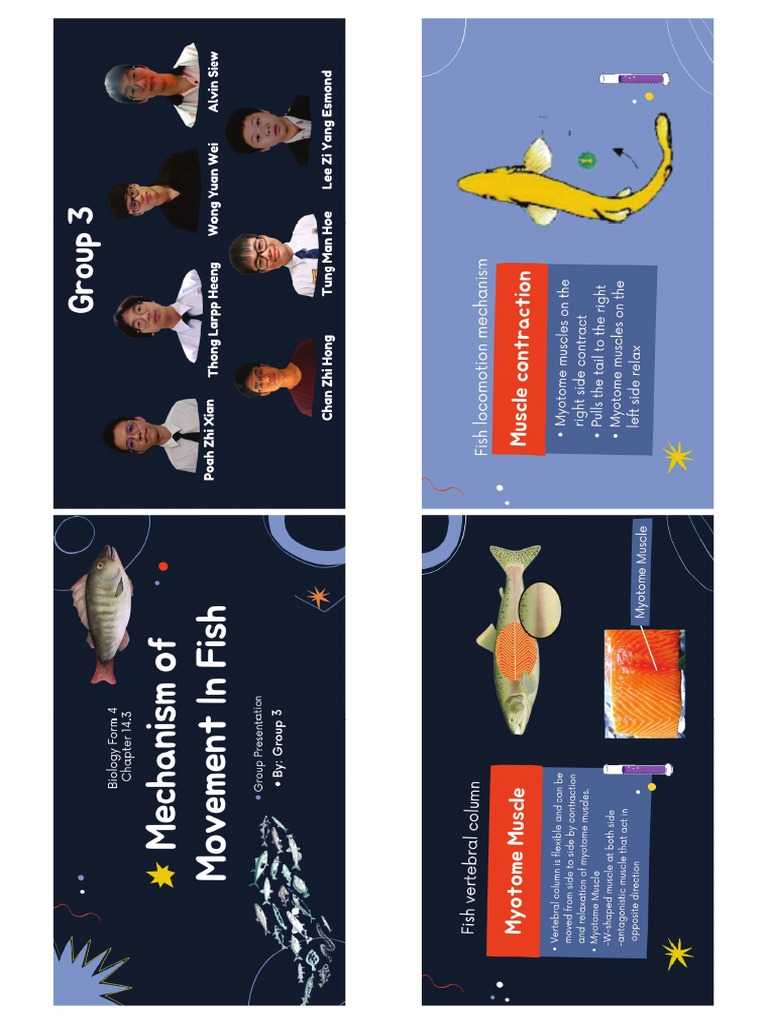 Group 3 (Mechanism of Movement in Fish) Notes | PDF