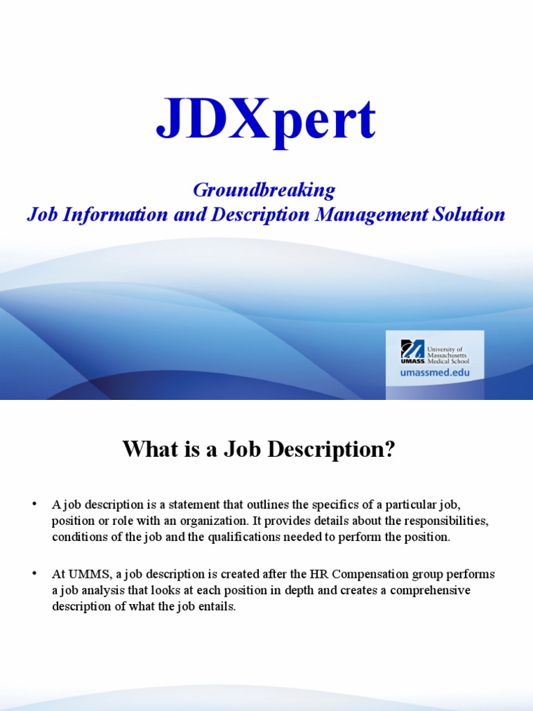 Job Description Information and Strategic Plan | PDF | Competence ...