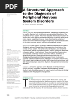 Peripheral Neuropathy Diff Diagnosis and Management Aafp | PDF ...